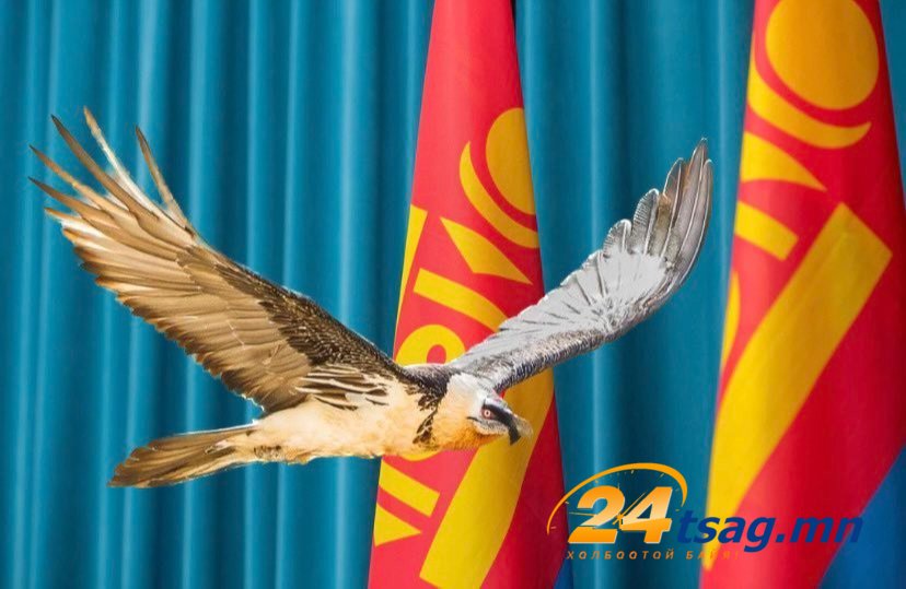 Шувуу ажиллагааны хүрээнд гадаад улсаас эргүүлэн авчрах хүмүүсийн