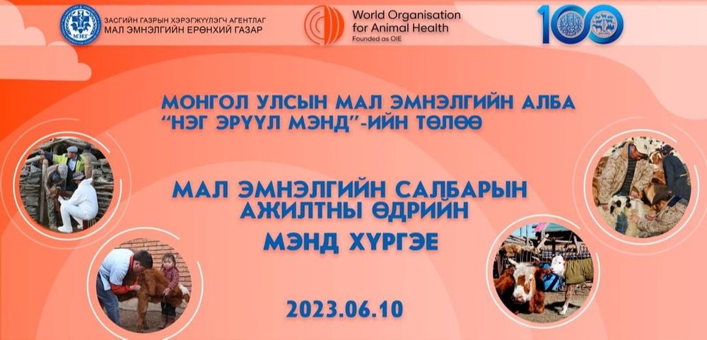 Мал эмнэлгийн салбарын ажилтны өдөр өнөөдөр тохиож байна