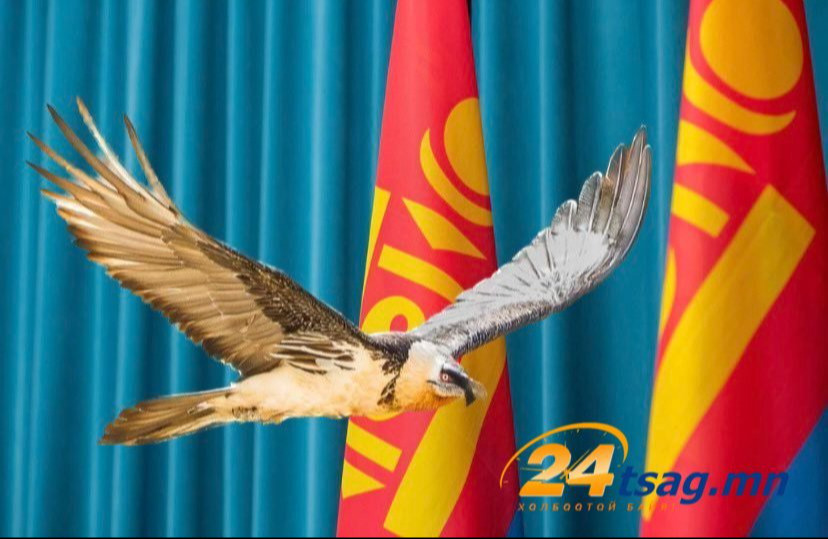 Шувуу ажиллагааны хүрээнд эрэн сурвалжилж байсан этгээдийг баривчилжээ