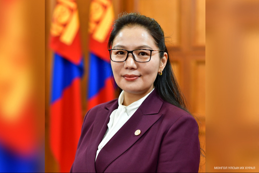 УИХ-ын Парламентын судалгаа, хөгжлийн хүрээлэнгийн захирлаар Д.Бумдарийг томилжээ