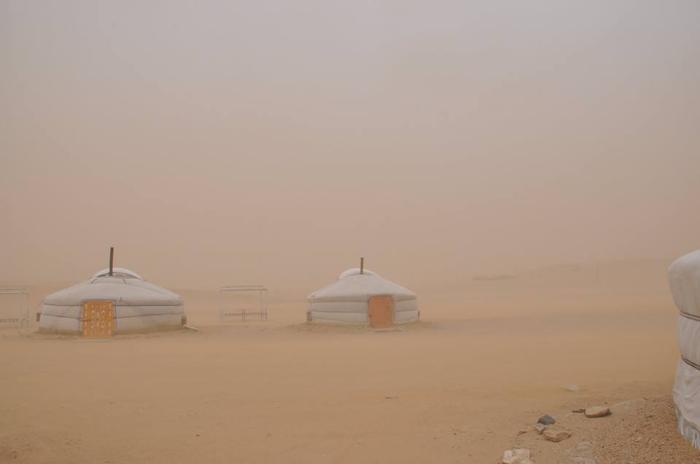 Дөрвөн мянга орчим мал улсын хилд тулжээ