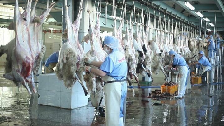 Мах махан бүтээгдэхүүний экспортоос 124 9 тэрбумын орлого олжээ