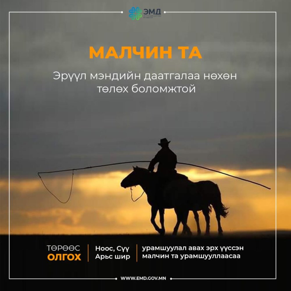 Малчид ЭМД аа ноос сүү арьс ширний урамшууллаараа нөхөн төлөх боломжтой