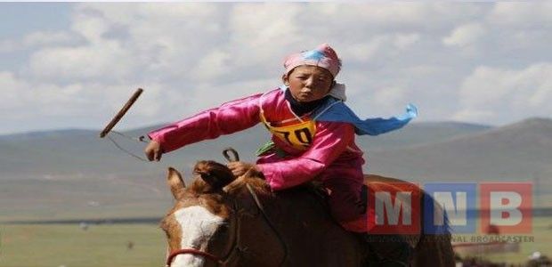 Морь унаач хүүхдүүд бэртэж гэмтэх нь их байна
