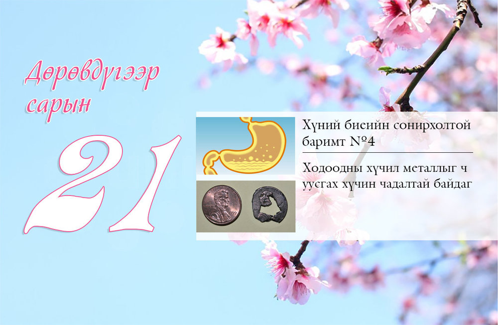 Өнөөдрийн тухай таны мэдэх ёстой 18 зүйл Авто ослоос болж хохирсон иргэн Н мэдээлэл хийнэ