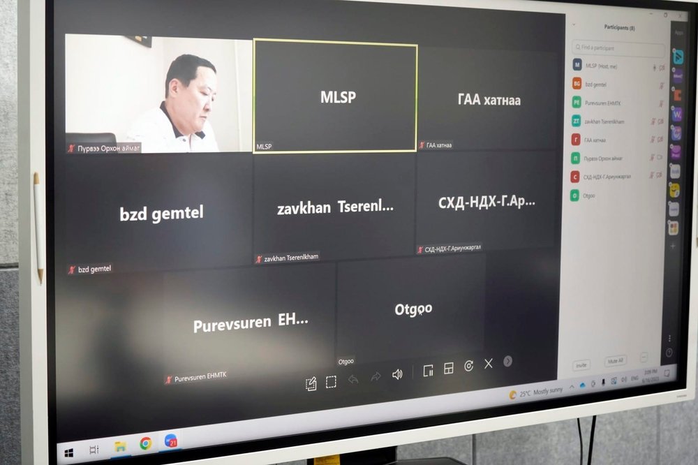 Хөдөлмөрийн чадвар алдалтыг тогтоох мэргэжлийн салбар зөвлөлүүдийн
