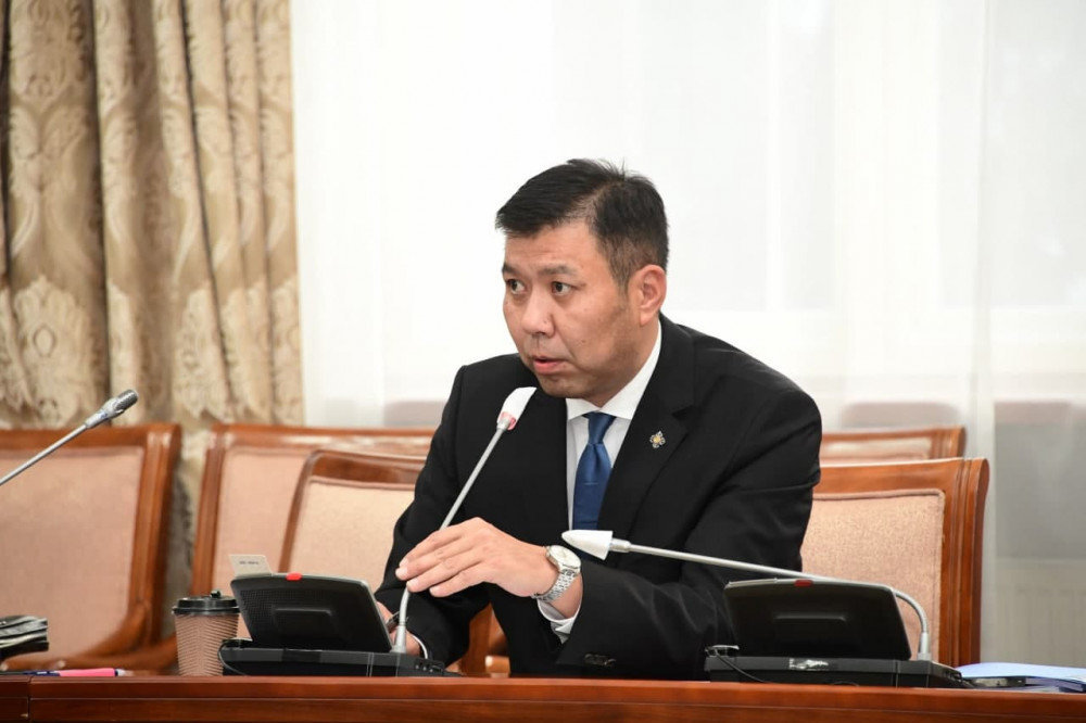 Б Энхбаяр Гүйцэтгэх ажлын тухай хууль гэж хэн ч мэддэггүй нууц хууль бий