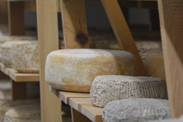 Монголд үйлдвэрлэсэн бяслаг дэлхийн зах зээлд гарахад бэлэн боллоо