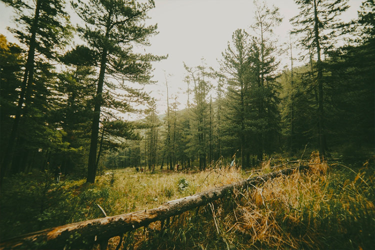 Зүрх ууланд төөрсөн хөгжлийн бэрхшээлтэй иргэнийг эрэн хайж байна