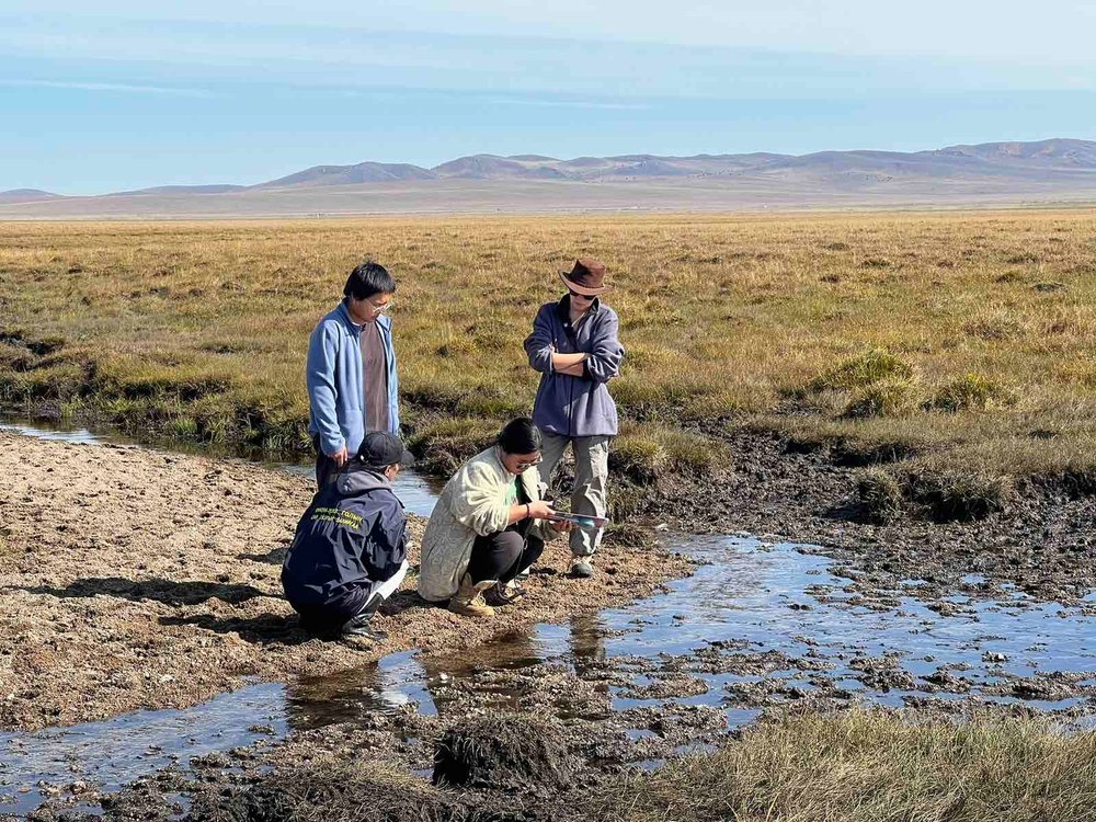 Улз голын эх Их бүрдийн урсац, ургамлын массын өөрчлөлтийг хэмжиж, үр ...