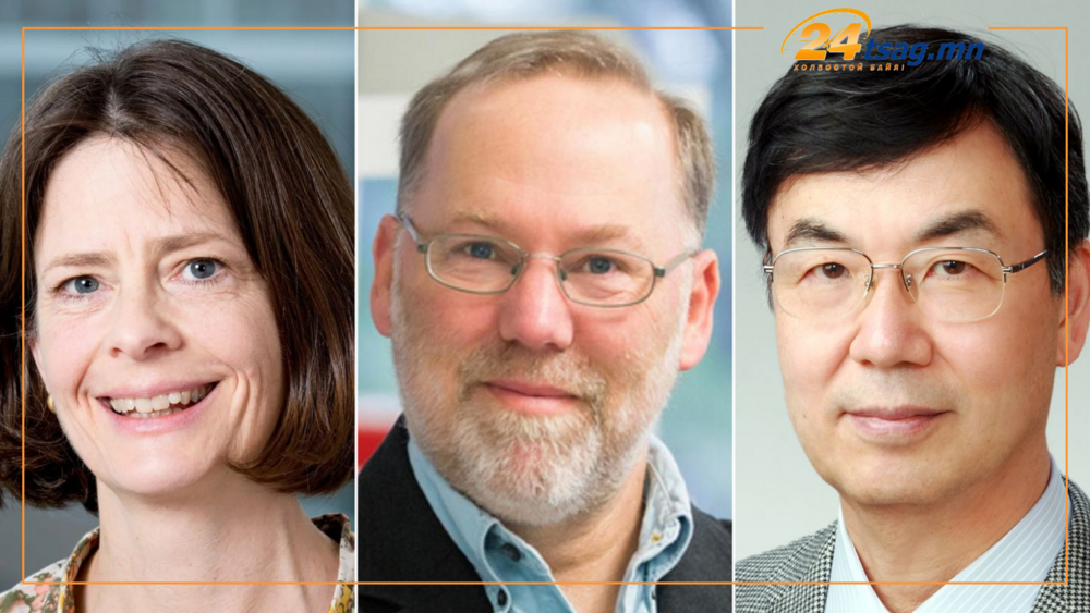 CNN: 2025 оны Физиологи, анагаах ухааны салбарын Нобелийн шагналтнууд