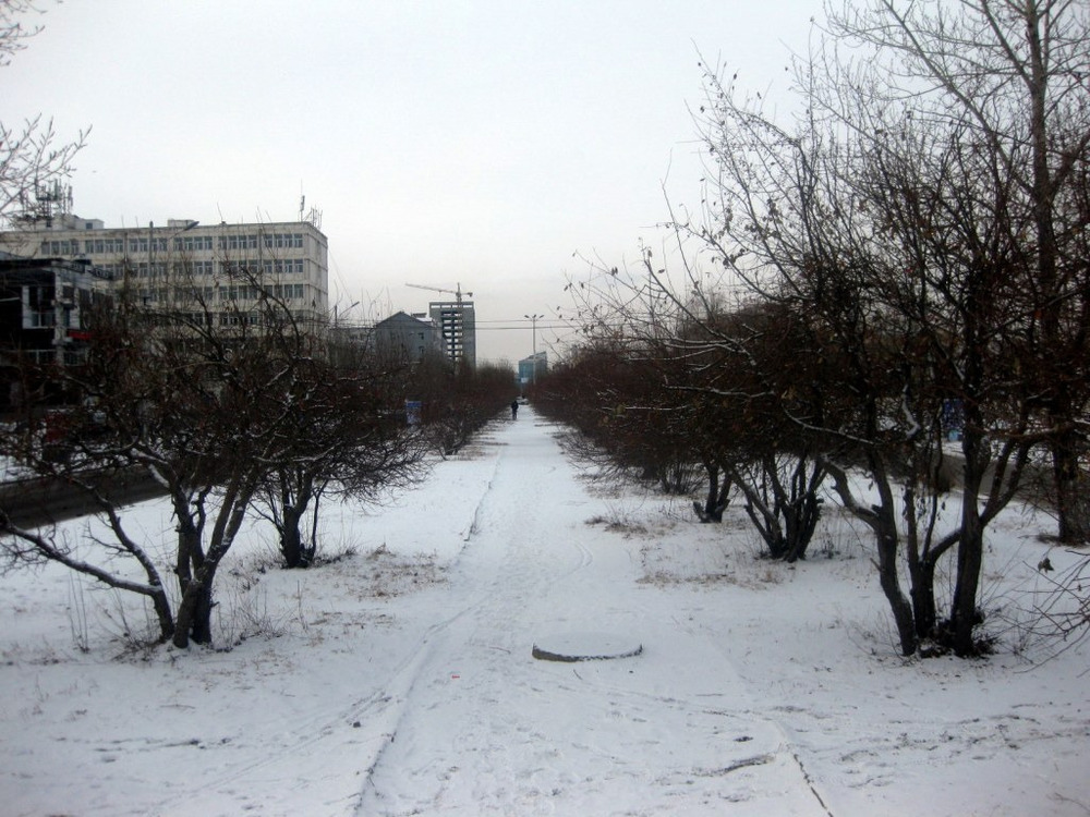 Өвлийн саруудын буюу улирлын цаг агаарын ерөнхий төлөв