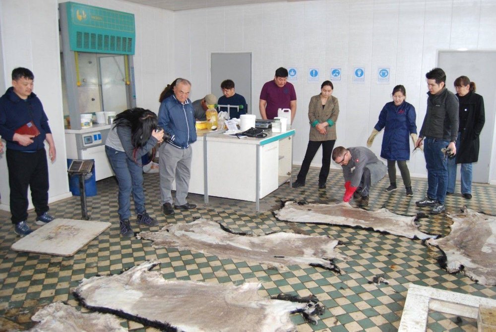 “Тогтвортой Сарлагийн арьс” төслийн хүрээнд шинэ технологи танилцуулах ...