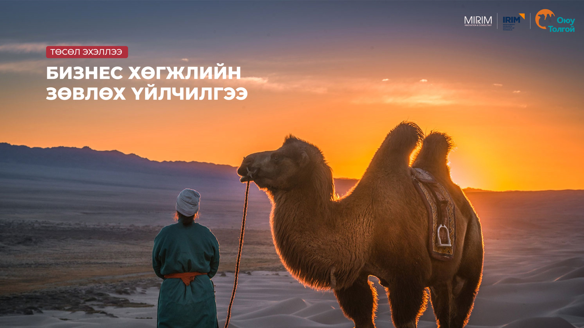 "Consultancy services for long-term local business development to ...