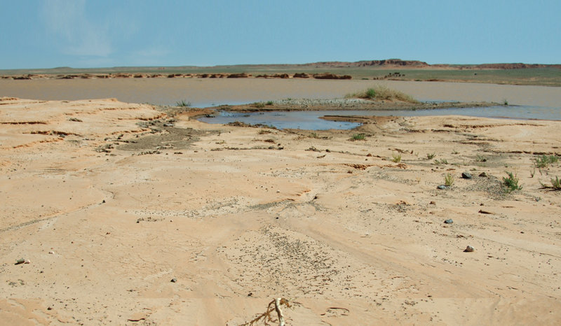 Forum talks of water issues, and hears how to bring it to the Gobi