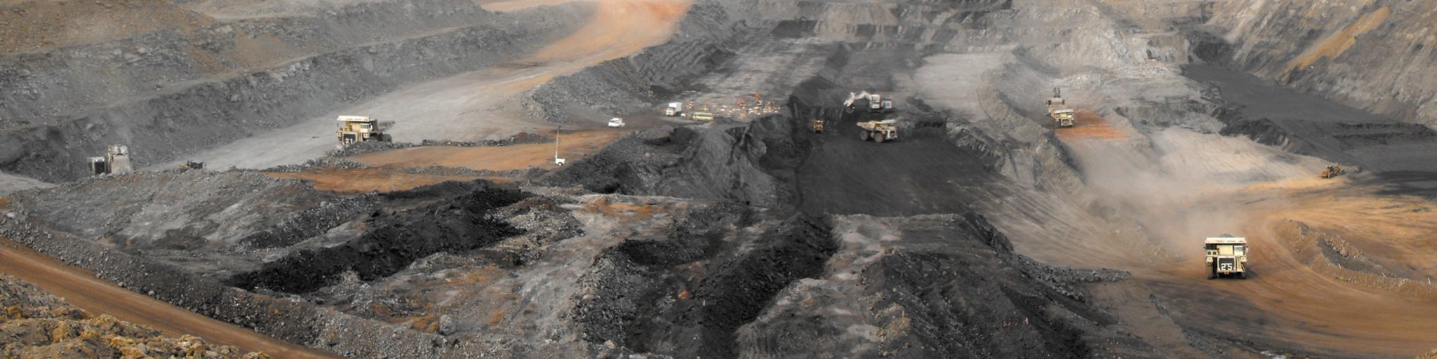 Coal export revenues set a new record