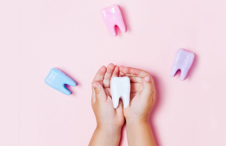 Сүүн шүд ба байнгын шүдний шүдлэлт