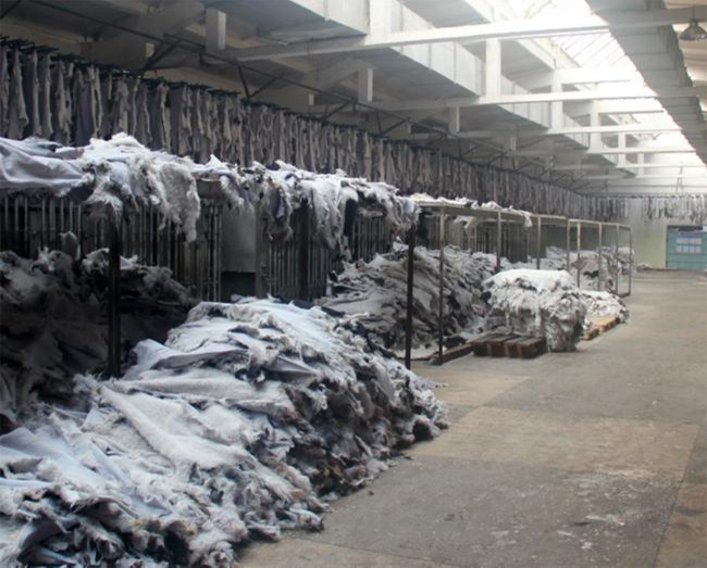 10 million raw hides and skins annually produced