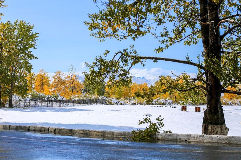 Өнөөдрийн тухай таны мэдэх 14 зүйл 2024 он гарахад 80 хоног үлдлээ